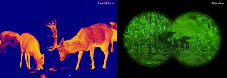 The 5 Best Night Vision Scopes of 2026 (With Buyer's Guide)
