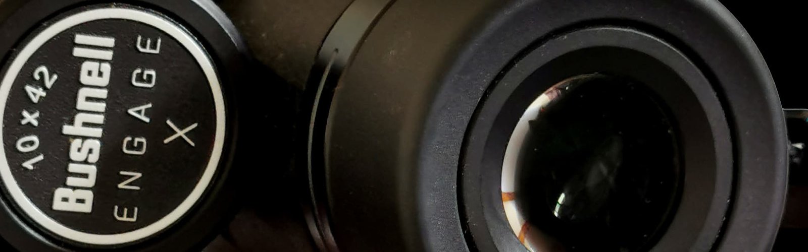 How to Use Binoculars - PointOptics